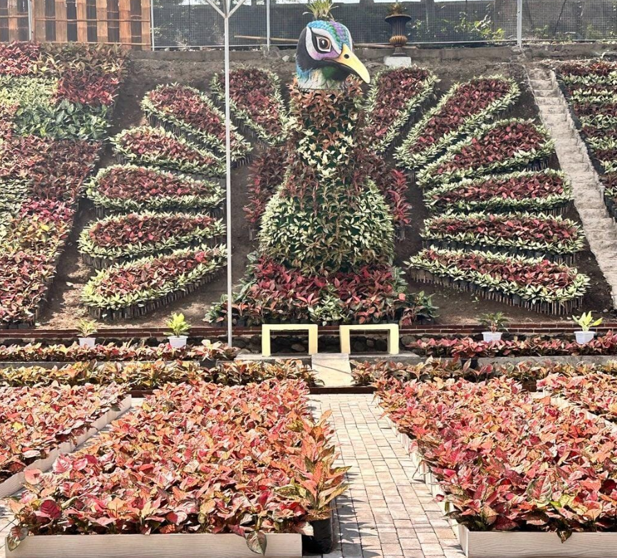 FT UGM Turut Mendesain Taman Aglonema Puri Mataram, Kini Diresmikan ...